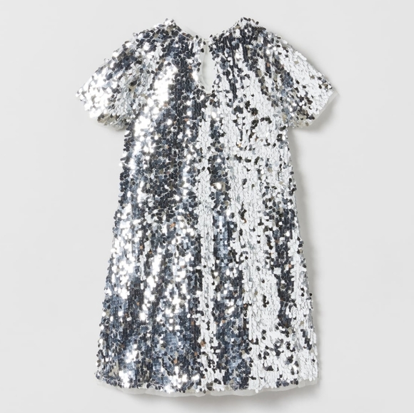Zara | Dresses | Zara Sequin Dress Silver Blogger Favorite | Poshmark